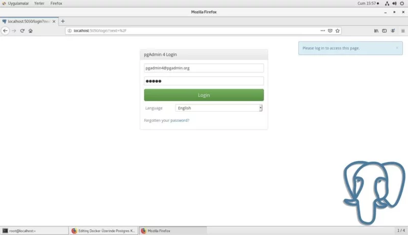 Docker Üzerinden Postgres ve PgAdmin Kullanmak - Profelis