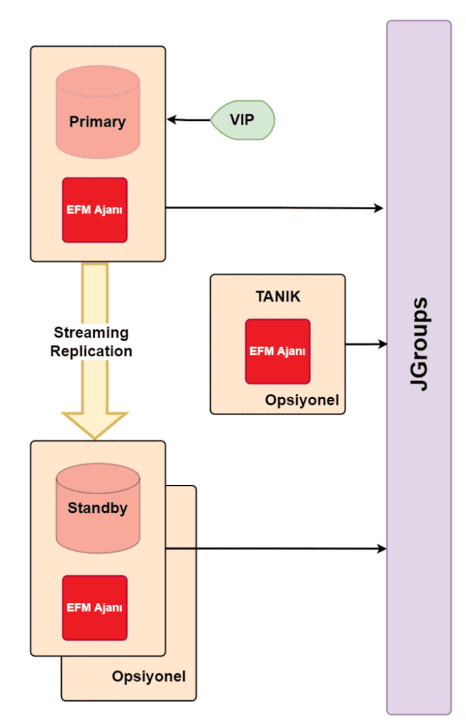 EnterpriseDB Failover Manager Nedir? Nasıl Kurulur? Profelis